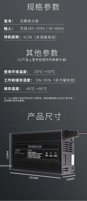 Cina litio Ion Charger del portatile 18650 di 24V 12A in vendita