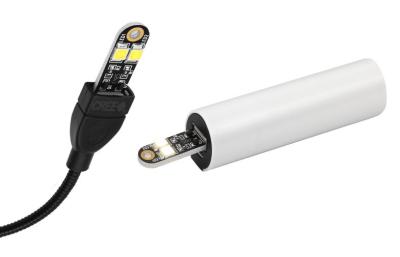 Cina La mini lampada principale USB si dirige verso il caricatore portatile della Banca di potere in vendita