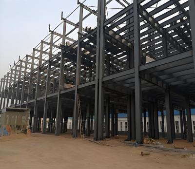 China Building Galvanized Prefab Steel Structure for Farm Storage for sale