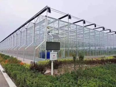 China Large Span Steel Frame Greenhouse for Agricultural Seedlings  Column-Free Design for sale