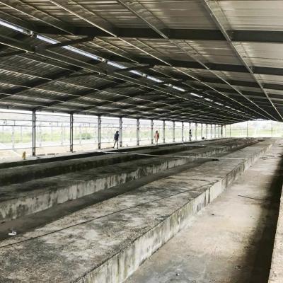 China Customized Q355b Hot-Dipped Galvanized Steel Poultry Farm House with 50 Years Worklife and High-Density Rockwool Insulation for sale