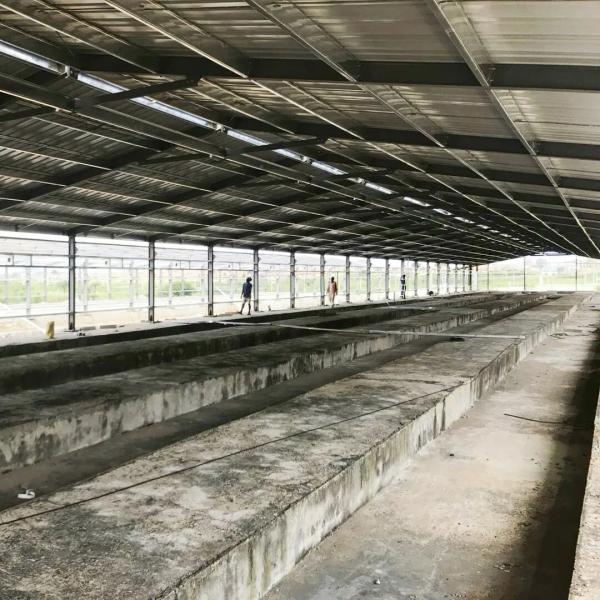 Quality Customized Q355b Hot-Dipped Galvanized Steel Poultry Farm House with 50 Years Worklife and High-Density Rockwool Insulation for sale