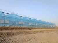 China Hot-Dip Galvanized Steel Multi-Span Commercial Greenhouse with Customizable Dimensions and Wind Resistance for sale