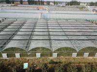 Quality Durable Multi-Span Commercial Greenhouse with Hot-Dip Galvanized Q235 Steel and for sale