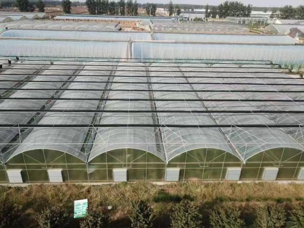 Quality Durable Multi-Span Commercial Greenhouse with Hot-Dip Galvanized Q235 Steel and Rack-and-Pinion Ventilation for sale