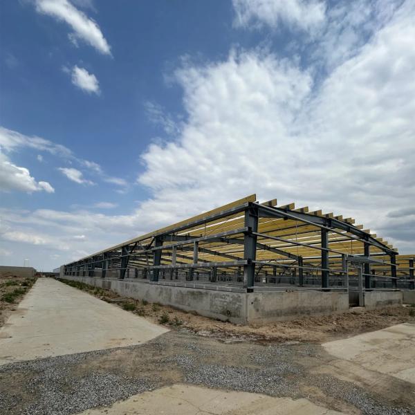 Quality Durable Prefabricated Steel Cow Shed and Cattle House Building with Hot-dip Galvanized Customizable Dimensions for sale
