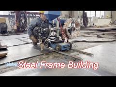 farm prefab steel structure fire resistant customized for residential