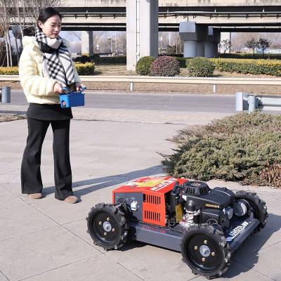 China Factory Direct Sale Color Wheel-type Cordless Single Cylinder DIY Grass Box Lawn Mower CE & EPA Certified for sale
