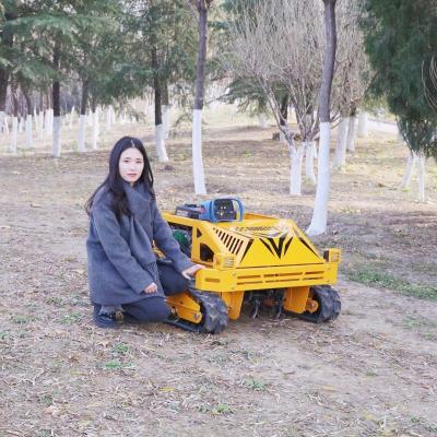 China AWY 4-Stroke DIY Gasoline Remote Control Lawn Mower Self Propelled Grass Crusher for sale