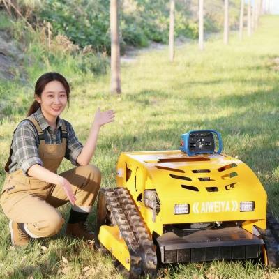 China All-Terrain Remote Control Agricultural Self-Propelled Mower 224CC High HP 550MM Cutting Width Mulching Grass Trimmer for sale