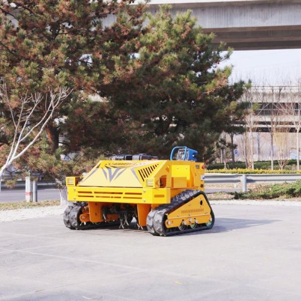 Quality Professional Flail Mower with Sharp Cutting Blades, Perfect for Large Area Grass Trimming, Strong Power for sale
