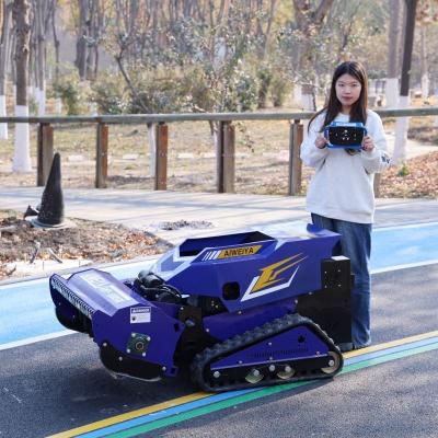 China Multi-Functional RC Mower, Mow, Mulch, Clear, for Orchards, Solar, Gardens, Efficient All-Round Flail Mowers for sale