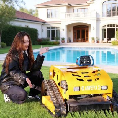 China Multipurpose Lawn Mower Designed for Rough Grass and Regular Lawn Maintenance, Sturdy Construction, Villas and Public Gardens for sale