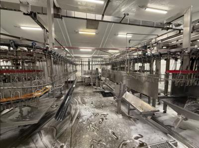 China PLC Control Stainless Steel Semi-automatic Slaughtering Equipment for Pigs Cattle and Sheep for sale