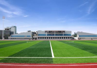 China UV Resistant Artificial Football Turf Synthetic Lawn Low Friction Anti Static Light for sale
