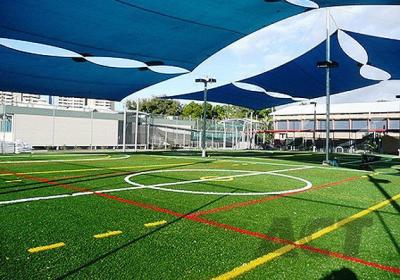 China Durable Surface Outdoor Artificial Grass , Low Friction Indoor Soccer Artificial Turf for sale