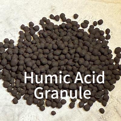 Quality Organic Humic Acid Granules with 70% Humic Acid Content for Soil Conditioning and High CEC 400-450meg/100g for sale