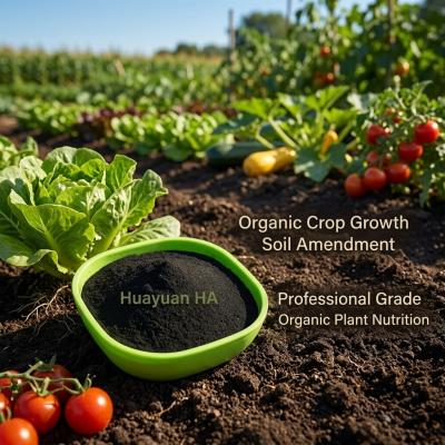 China 95% Super Concentrated Humic Acid Powder for Drought Resilience and Salt Stress Mitigation in Australian Organic Farming for sale