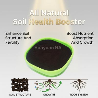 China 68% Humic Acid Granule for Tropical Soil Remediation with 90-120 Days Slow Release Fertilizer for sale
