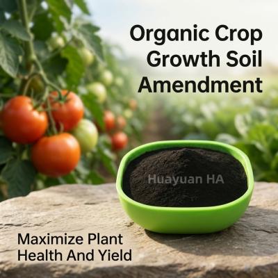 China 70% Humic Acid Granule with 90-120 Day Release for Center Pivot Desert Farming for sale