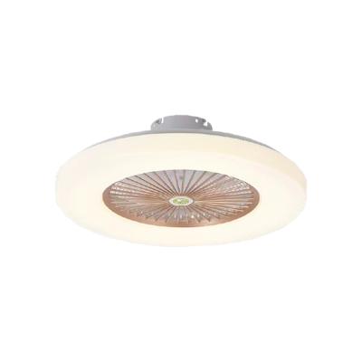 Cina Ventilatore a soffitto bianco con luce di lampadario retrattile in vendita