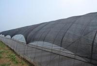 China 50% Horticultural Net for sale