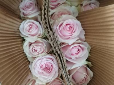 Cina Cartone ondulato di carta riciclabile dello SGS del CE che imballa per i fiori in vendita