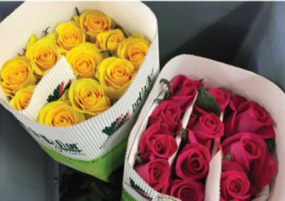 China Ce-SGS Rekupereerbare Document Verpakking Van golfkarton voor Bloemen Te koop