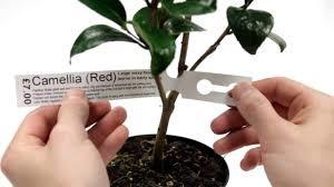 Cina Le etichette orticole lucide su ordinazione della pianta rendono impermeabile per i fiori in vendita
