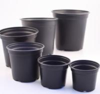 China Propagation Horticultural Pots And Trays for sale