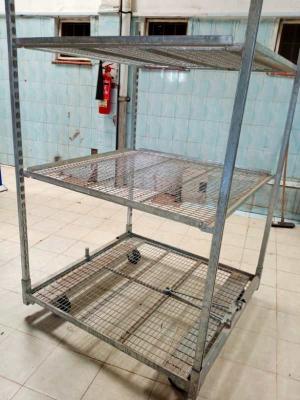 Cina Scaffali dell'organizzazione della serra di H1900mm, carrello danese della pianta di iso in vendita