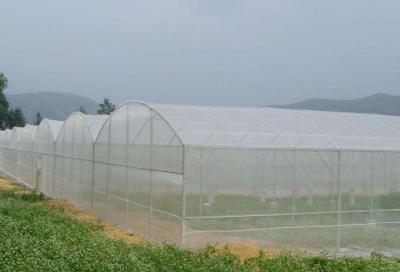 Cina Insetto Mesh Netting dell'HDPE in vendita