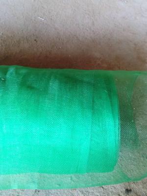 China O berçário branco da planta 140g/M2 verde da largura 1m-8m protege o anti inseto líquido à venda