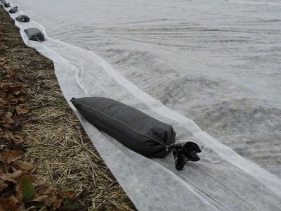 中国 白い150gsm地被植物園芸PP非編まれた材料 販売のため