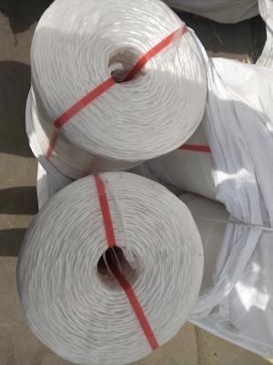Cina Cordicella bianca di plastica della iuta dei pp, piante di verdure 1Ply 2Ply cavo della iuta di 3 pieghe in vendita