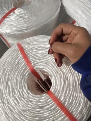 Cina Plastica orticola di verdure degli accessori cordicella della iuta di 2 pieghe in vendita
