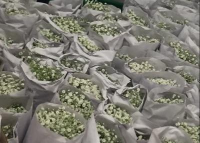 China 30-85Grams tuinbouw Verpakkend Gypsophila-de Vochtigheidsdocument van Bloemverpakkingsmaterialen Te koop