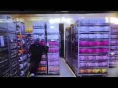 H1900mm Greenhouse Staging Shelves , ISO Danish Plant Trolley