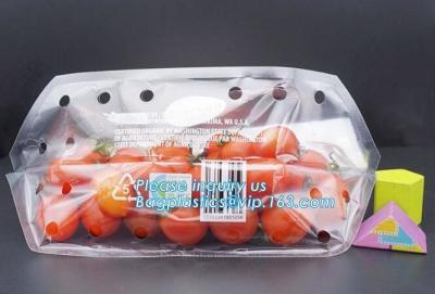 China LDPE ziplock aseptic grape bag,cherry bag,fruit bag with hole/slider ziplock fruit bag with air holes for grape packagin for sale