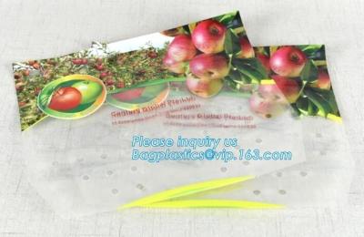 China eco-friendly slider ziplock fruit bag with air holes for grape packaging bag, slider ziplock storage frozen bag with OEM for sale