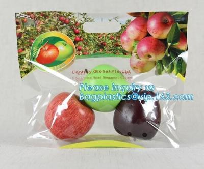 China eco-friendly slider ziplock fruit bag with air holes for grape packaging bag, slider ziplock storage frozen bag with OEM for sale