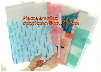 China hot selling plastic pp rainbow expanding file wallet folder with elastic band for sale