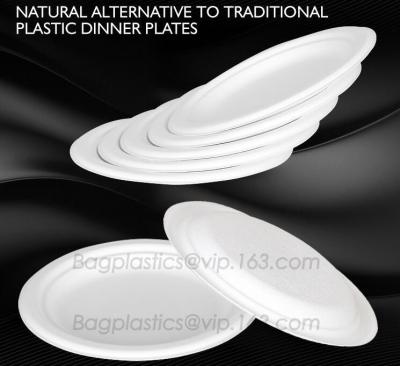 China white circular paper dinner plates with PLA coating film, tableware, Light Industry & Daily Use, Tableware, Plates for sale