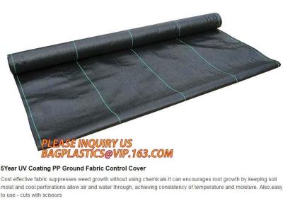 China Application Wide Range mulching film for agriculture pp woven weed barrier for Strawberry,Weed Barrier Fabric,PP woven w for sale