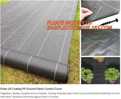China Application Wide Range mulching film for agriculture pp woven weed barrier for Strawberry,Weed Barrier Fabric,PP woven w for sale