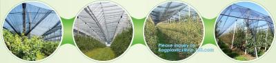 China Anti Insect Net For Vegetable Supplier In China,Greenhouse Insect Net /garden netting for ventilation proof, bagease, pa for sale