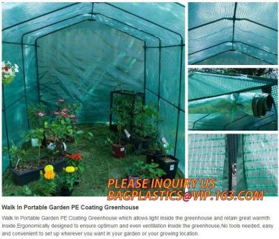 China polycarbonate plastic sheet agricultural mini garden green house,plastic walk in dome garden green house, SUPPLIES, PAC for sale