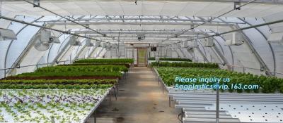 China high quality tunnel single span galvanized arch green houses,Plant Large Walk in Greenhouse with Clear Cover for garden for sale