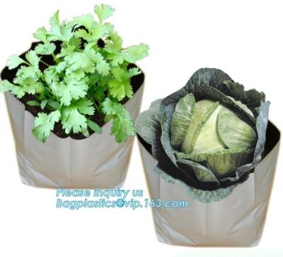15 GALLON Hole Plastic LDPE Grow Bags For Nursery, Black & White PE Grow Bags for Hydroponic and Horticulture use, BAGEA