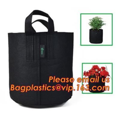 China fabric pots grow bag felt garden bag with handle,Hydroponic Grow Bag 1 Gallon Containers With Handle,Eco-friendly High q for sale